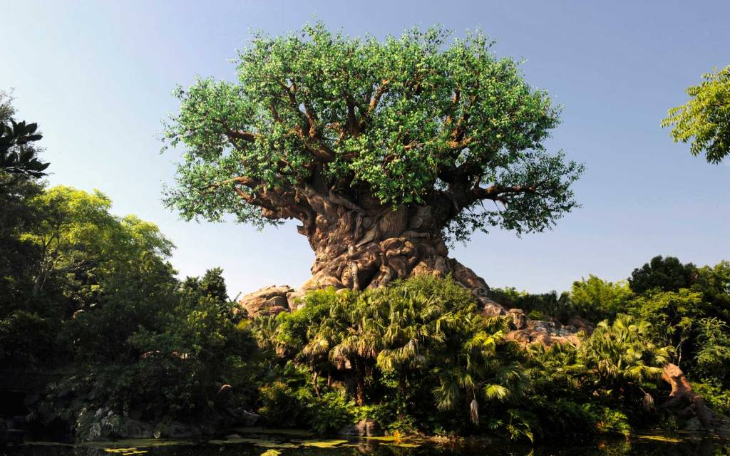 Disney’s Animal Kingdom: The ultimate ranking of rides and attractions ...